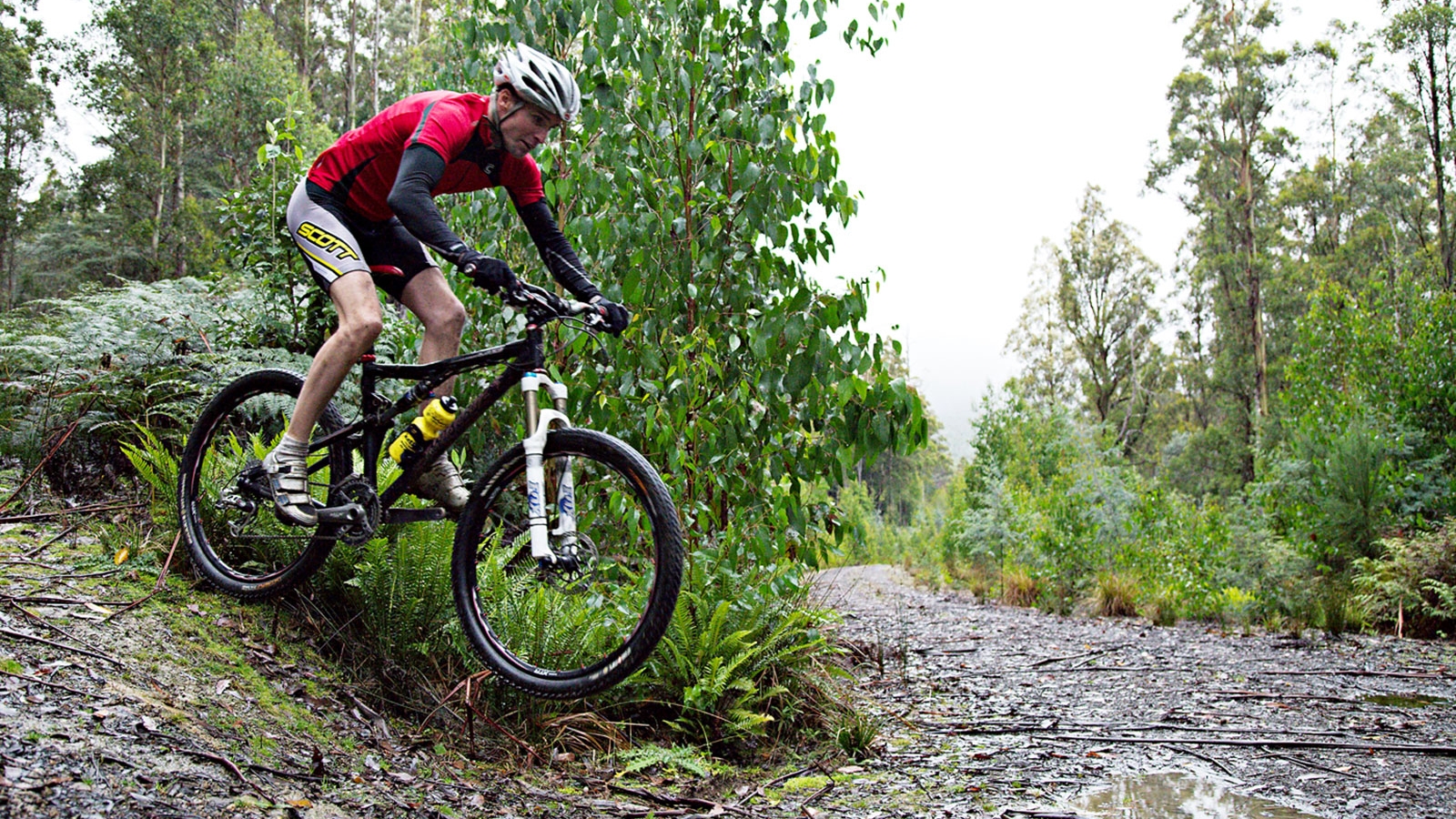 Forest activity permit | Sustainable Timber Tasmania