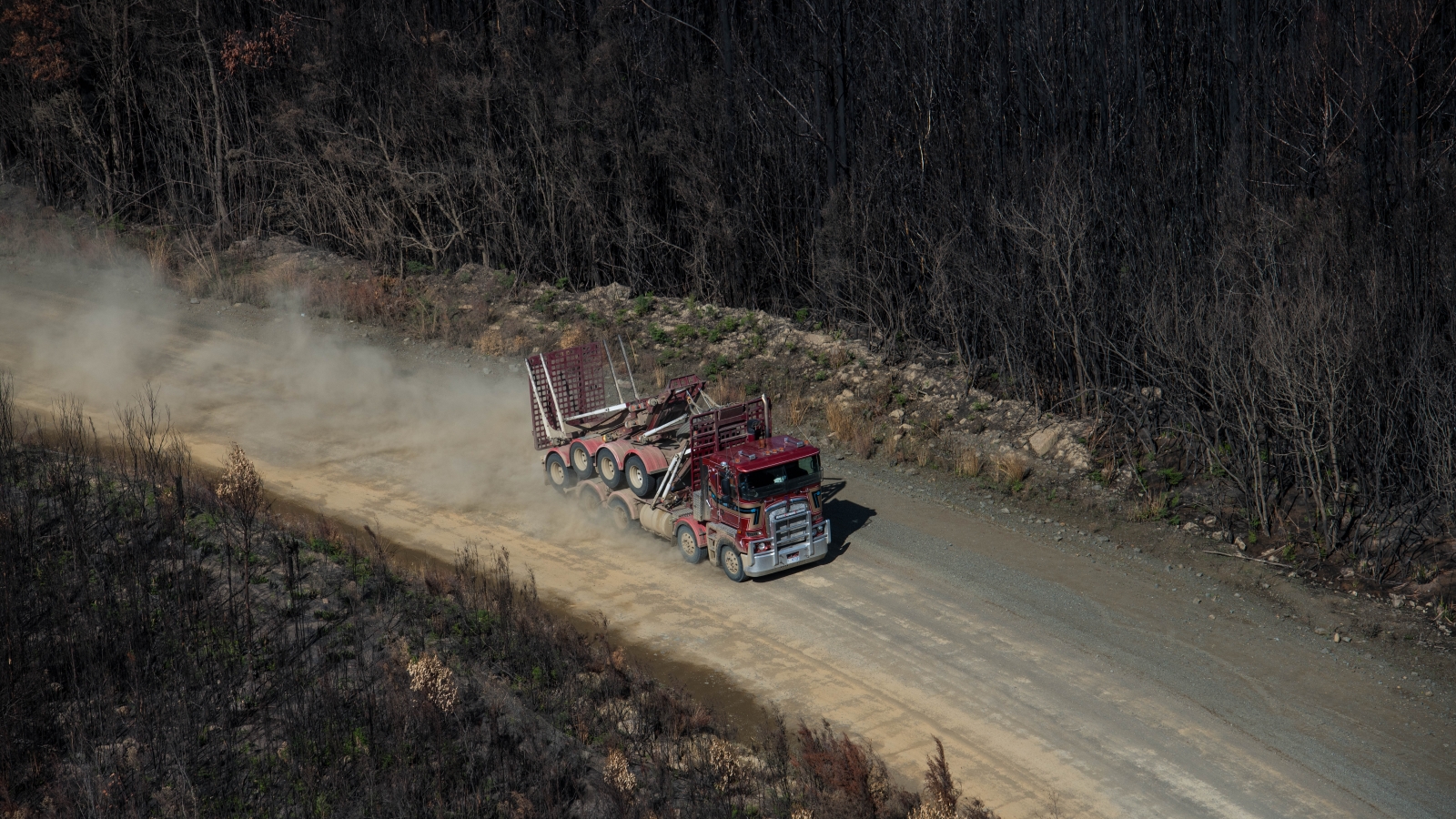 Road and track closures | Sustainable Timber Tasmania