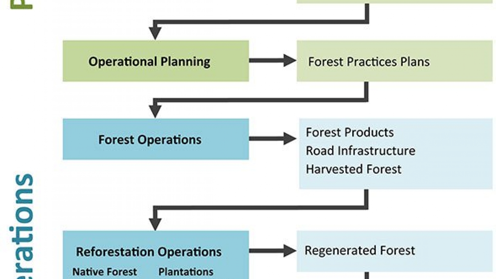 Our planning | Sustainable Timber Tasmania