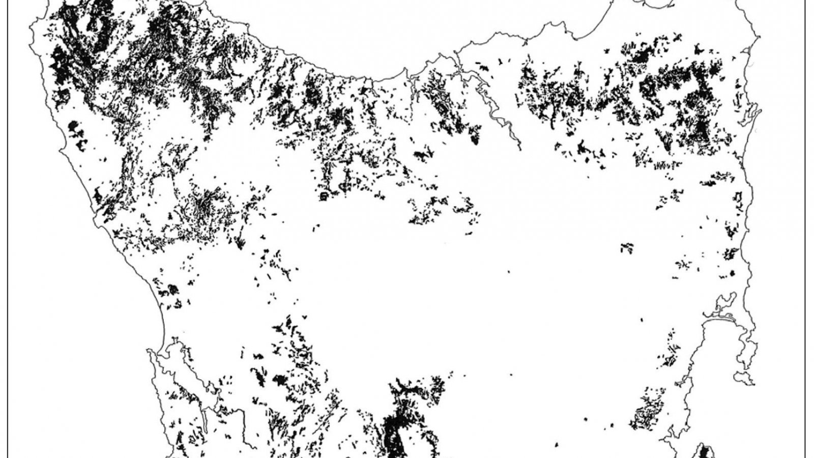 Wet eucalypt forest | Sustainable Timber Tasmania
